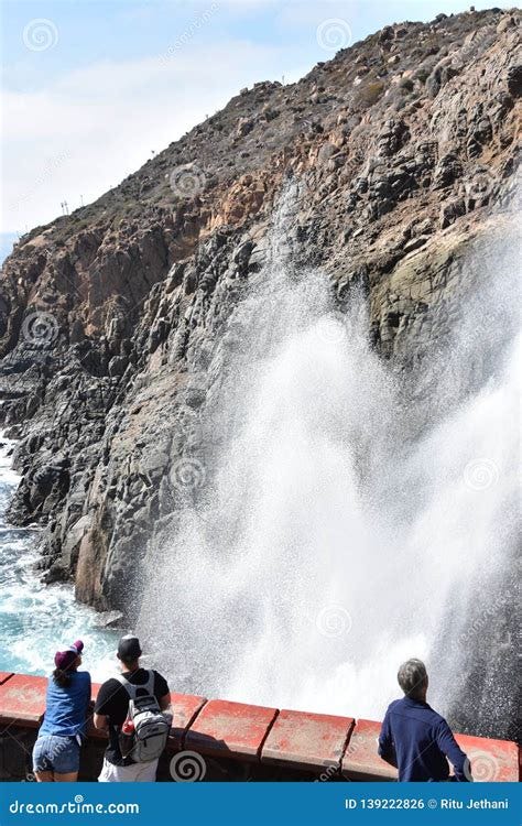 Review Top Unleash the Power of the Pacific: The Best “Bufadora ...