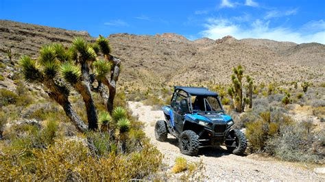 Review Top Hidden Valley & Primm Valley Extreme RZR Tour: A Thrilling ...