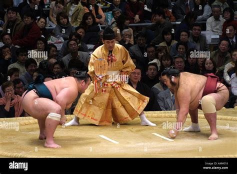 Review Top Experience the Intensity of Sumo Training: Early-Morning ...