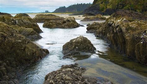 Review Top Best Hiking Trails to Explore Tide Pools in the Pacific ...