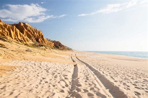 Review Top 5 Hiking & Camping Tours in Comporta Recommended | by ...