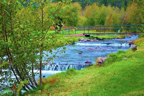 Top Things to Do in Greer, Arizona: Explore Nature, Hiking, and ...