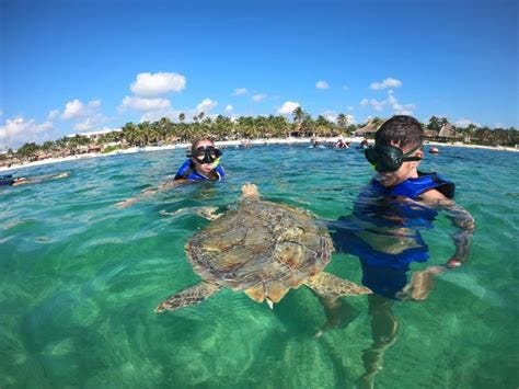 Review Top Tulum Ruins, Akumal Turtles, Cenotes & Caves: official web ...