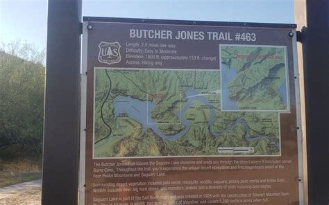 Review Top 3 Hour Butcher Jones Paddle: Your Ultimate Guide to an Epic ...
