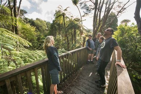 Review Top Unleash the Adventure: Best Waitakere Ranges Wilderness Eco ...
