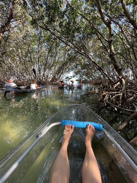 Review Top Clear Kayak Tour of Shell Key Preserve: An Underwater ...