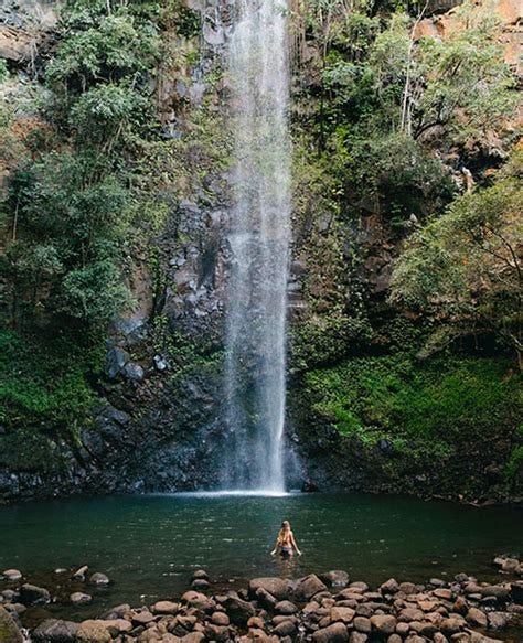 Review Top Kauai Adventure: Kayak & Hike to Secret Falls with Expert ...