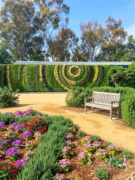 5 Best South Shore Combination Garden Guided Tours: Unforgettable ...
