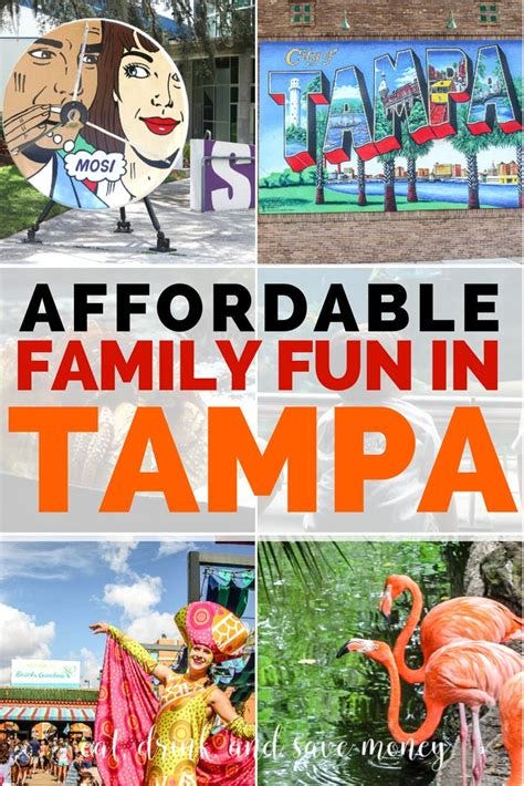 Tampa Family Activities: Top 10 Fun Spots in Florida | by Mckinleymata ...