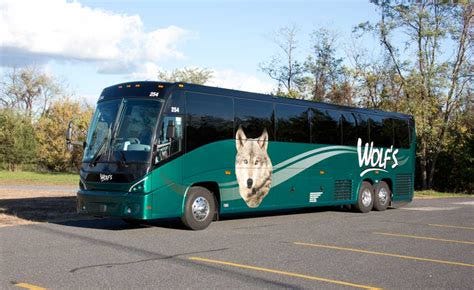 Top Wolf Bus Tours 2025 Schedule for Nature Lovers | by Liviabass | Oct ...