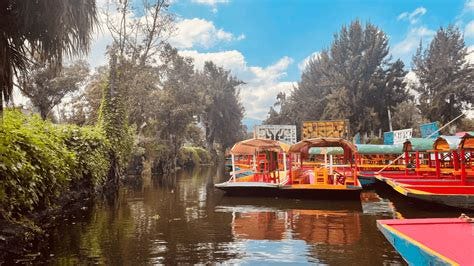 Review Top Unveiling Xochimilco & Coyoacán: A Journey Through Mexico’s ...