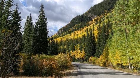 Top Things to Do in Denver Colorado in November | by Melisafloyd | Oct ...