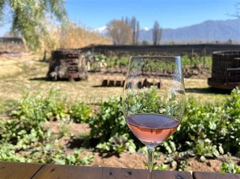 Top Maipu Half-Day Tours: Discover Argentina’s Wine Region | by ...