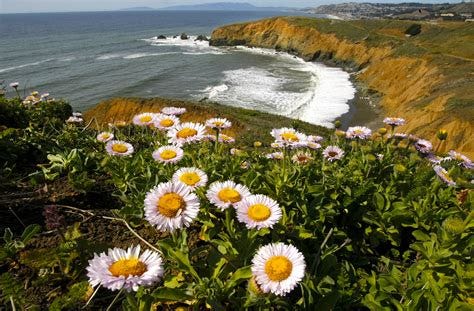 Review Top 5 Flowers Bay Art and Culture Recommended | by Lopesdvswg ...