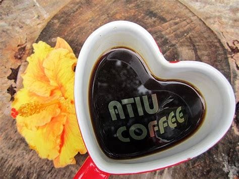 Review Top 5 Atiu Food and Drink Recommended | by Oatesgvpel | Medium