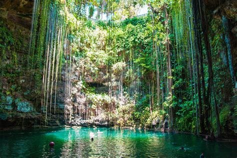 5 Best Eco Tours in Cancun: Experience the Riviera Maya’s Natural ...