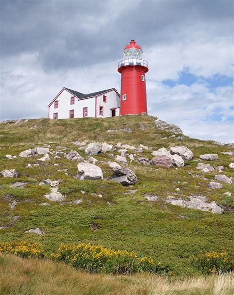 Top 5 Day Trips From St. John’s: Explore Newfoundland | by ...