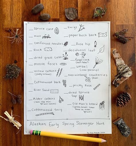 Review Top 5 Scavenger Hunts in Alaska Recommended | by Annaguinevere ...