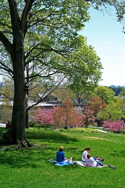 Top Things to Do in Boston During April Vacation | 2024 Guide | by ...