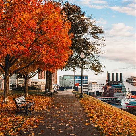 Top 5 Things To Do In Baltimore Maryland In October | by Irmasssousa ...