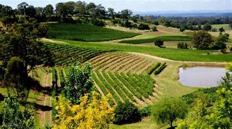 Review Top 5 Hunter Valley Day Trips Recommended | by Davidhaandrews ...