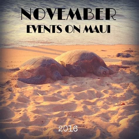 Top Things to Do in Maui in November: Adventure, Nature, and More | by ...