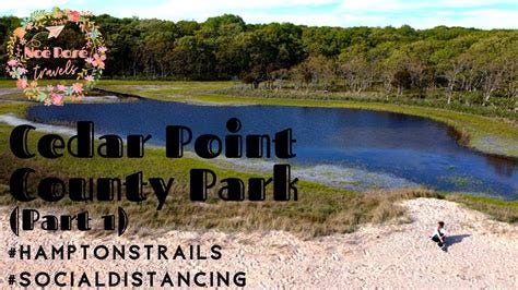 Discover Cedar Point County Park in East Hampton: Best Activities and ...