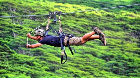 Review Top Tree Limin’ Extreme Zipline: Soaring Through the Canopy of ...
