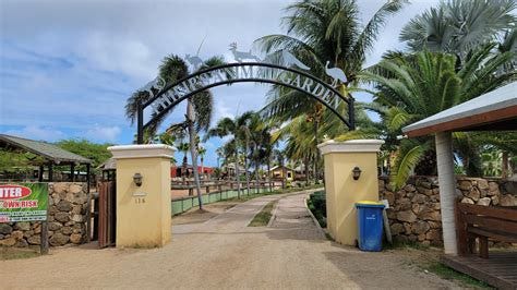 5 Best Half-Day Aruba Animal Sanctuary Guided Tours for Nature Lovers ...