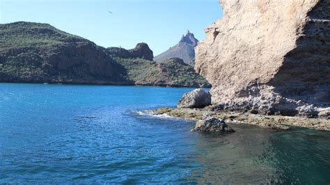Top 5 Guaymas Half-day Tours: Unveil the Best Experiences | by Bealsanjelica | Sep, 2024 | Medium