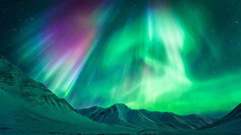 Review Top Best Small Group Northern Lights Tours in Interior Alaska ...