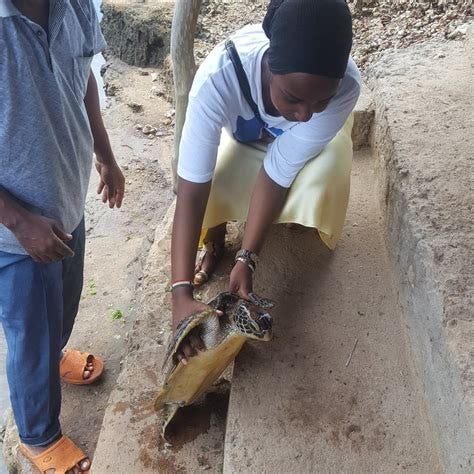 Top 5 Pongwe Cultural Tours: Unveil Zanzibar’s Hidden Gems | by ...