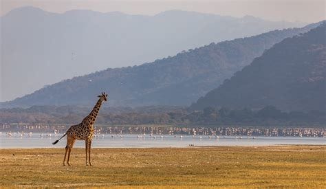 Review Top 5 Sights & Landmarks in Manyara Region Recommended | by ...