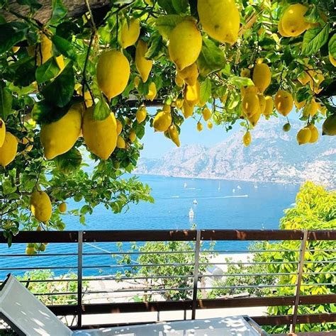 Review Top Amalfi Coast Lemon Tour Experience: A Zesty Adventure | by ...