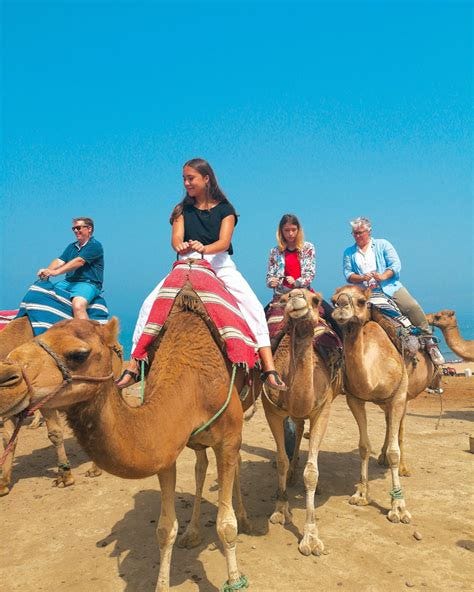 Top 5 Camel Rides on the Beach with Mexican Lunch - A Complete Guide ...