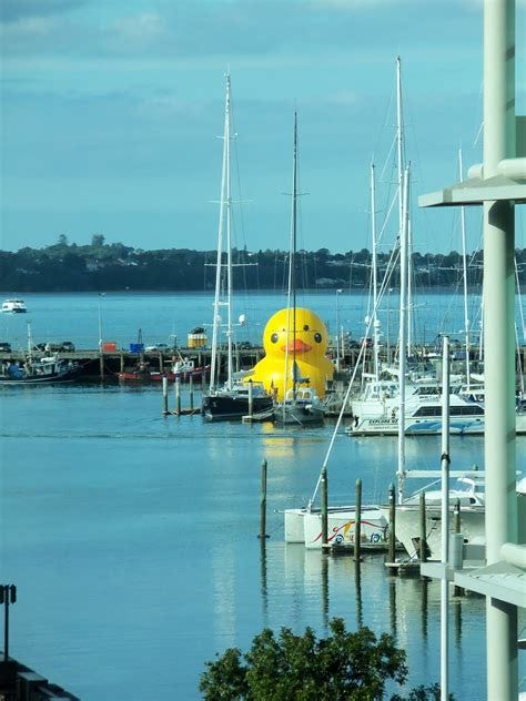 Review Top 5 Duck Tours in Napier Recommended | by Rochellelavone | Nov ...