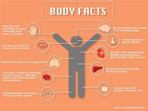 “10 Amazing Facts About the Human Body That's Really shocking” | by ...