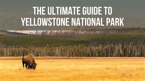 Review Top Best Yellowstone National Park Self-Guided Driving Audio ...