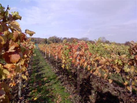 Top 5 Central Sweden Wine Tours & Tastings | Unforgettable Wine ...