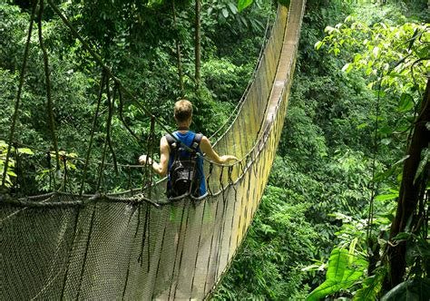 Top 5 Rainmaker Park Hanging Bridges & Waterfalls Tour with Jade Tours ...