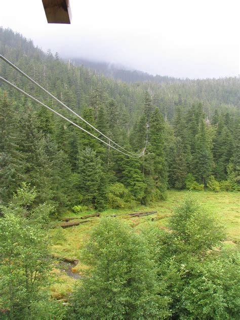 Review Top Ketchikan Rainforest Canopy: Soaring Through the Alaskan ...