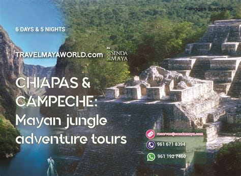Top 5 Mayan Jungle Adventure Tours: Unforgettable Experiences Await ...