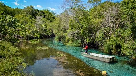 Review Top 5 Bonito Sightseeing Tours Recommended | by Daleemtki | Aug ...