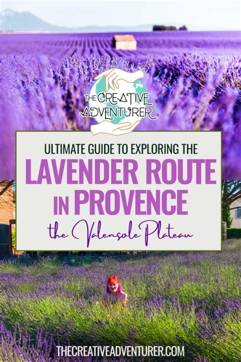 Top 5 Lavender Route Small-Group Day Trips from Avignon: A ...