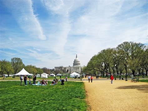 Top 10 Things to Do in Washington DC in July | by Miltonwelch | Sep ...