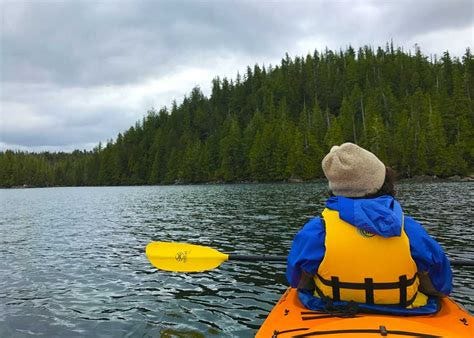 Top 5 Best Orca Cove Sea Kayaking Experiences Reviewed | by ...