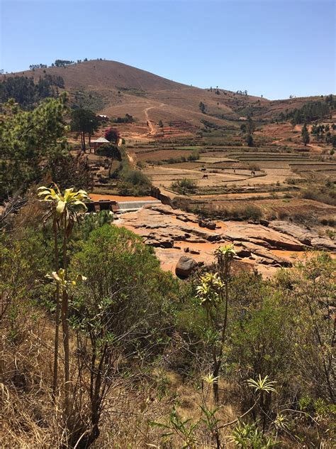 Review Top 5 Ivato Day Trips Recommended | by Noengcov | Aug, 2024 | Medium