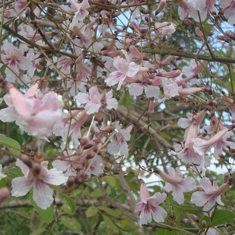 Review Top 5 Children’s Museums in Tanga Recommended | by Margecriswell ...