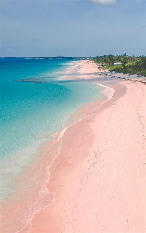 Top 5 Pink Sand Beach Bahamas Tours From Nassau | by Aminosullivan ...
