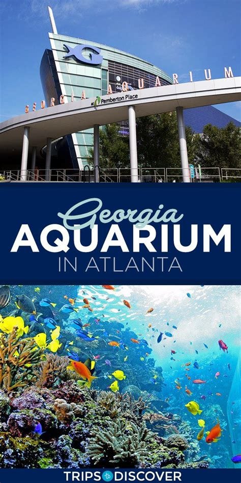 Top 5 Things To Do In Atlanta This Weekend Family - Jaelynnrussell - Medium